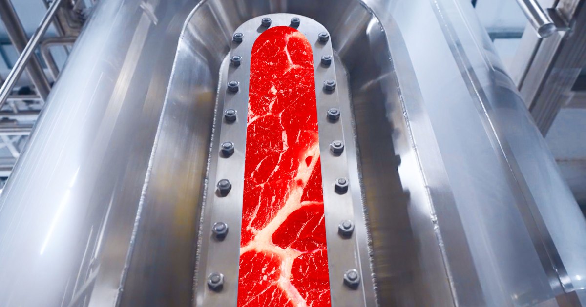 Large-scale, lab-grown meat: Step inside a cultivated meat factory