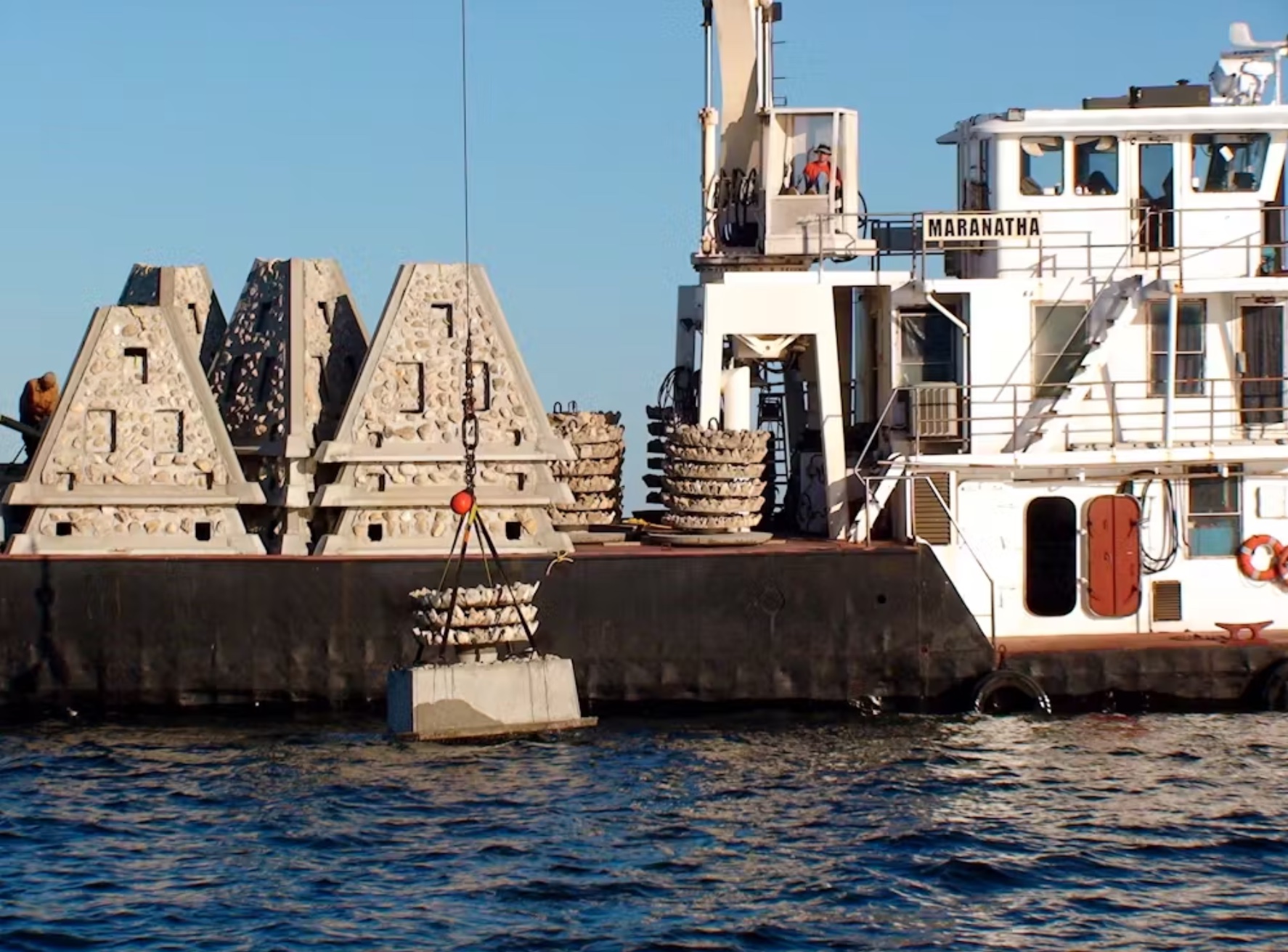 Why the US has artificial reefs made from sunken ships and voting machines