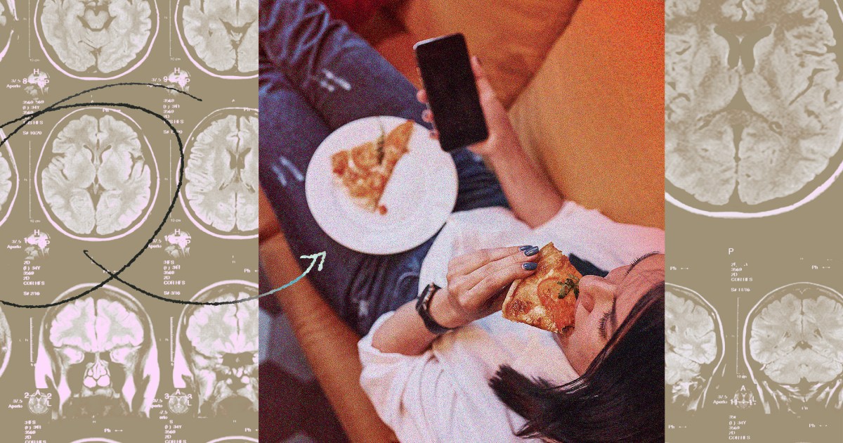 The hunger-boredom paradigm explained by scientists