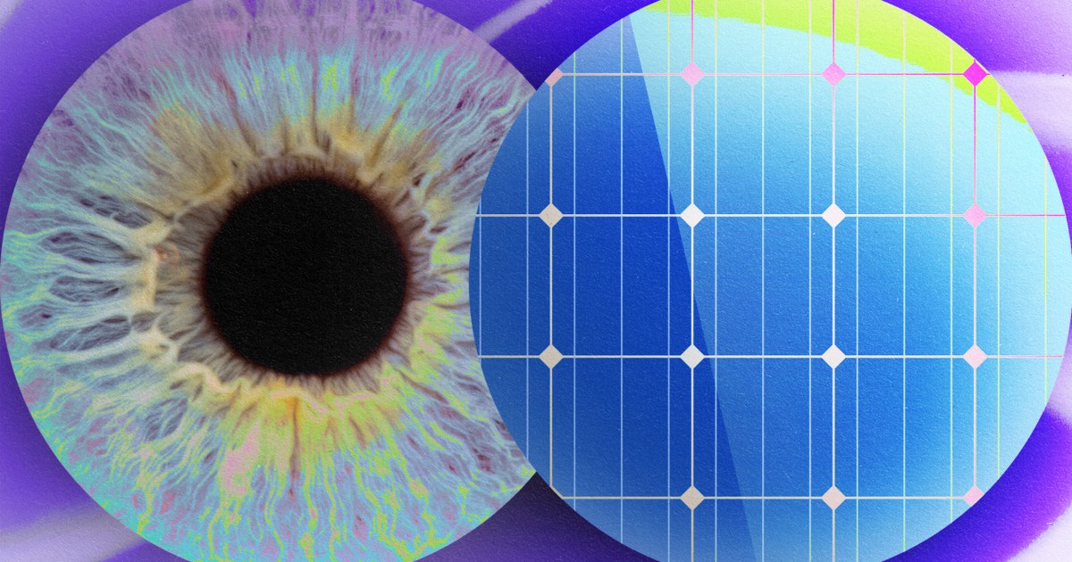 Implantable solar cells could one day help restore vision