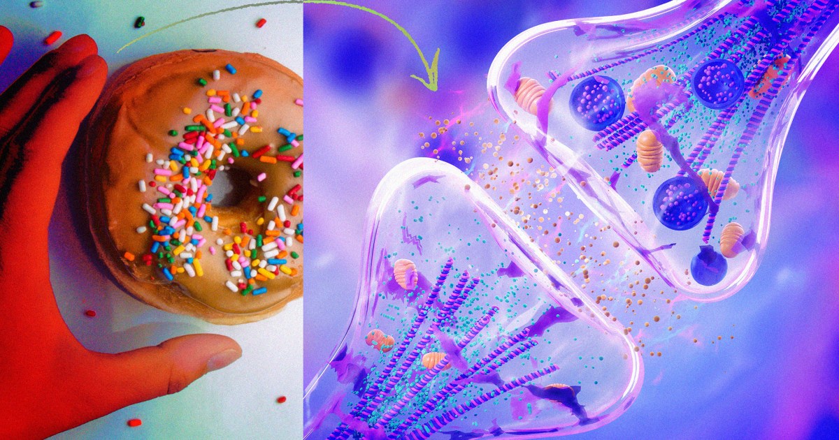 Serotonin plays a key role in patience and impulse control, research says
