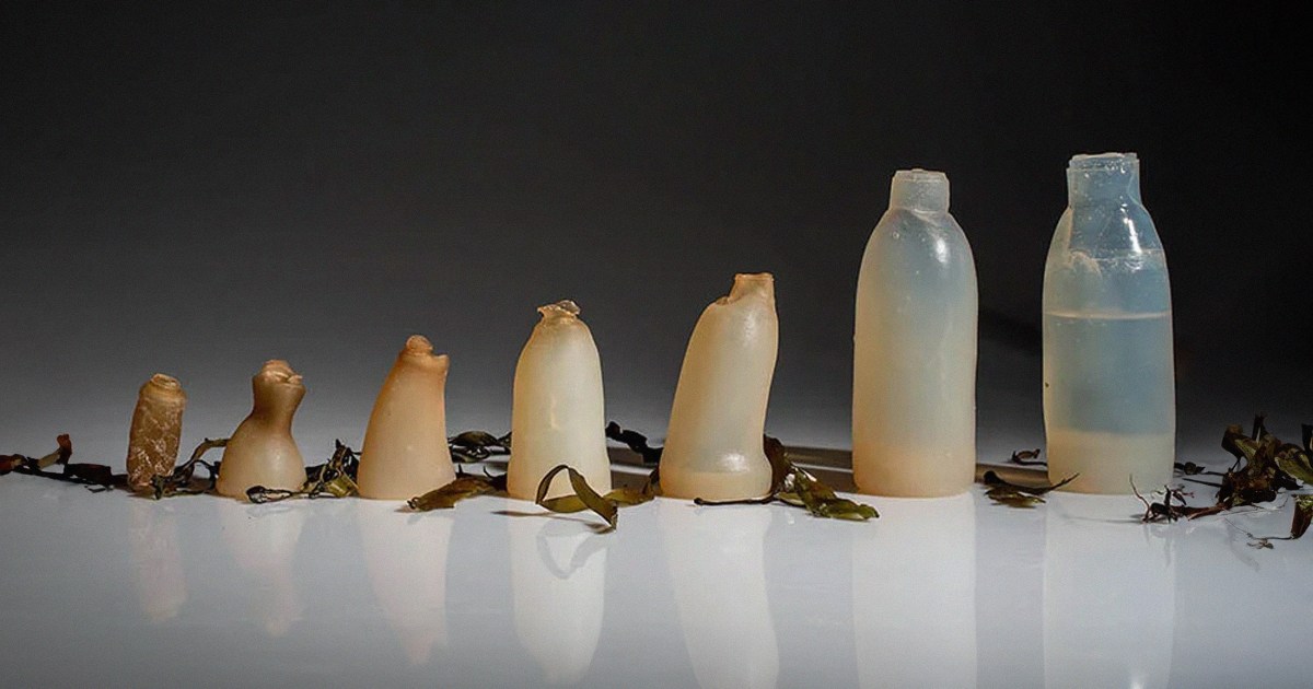 Toward truly compostable plastic