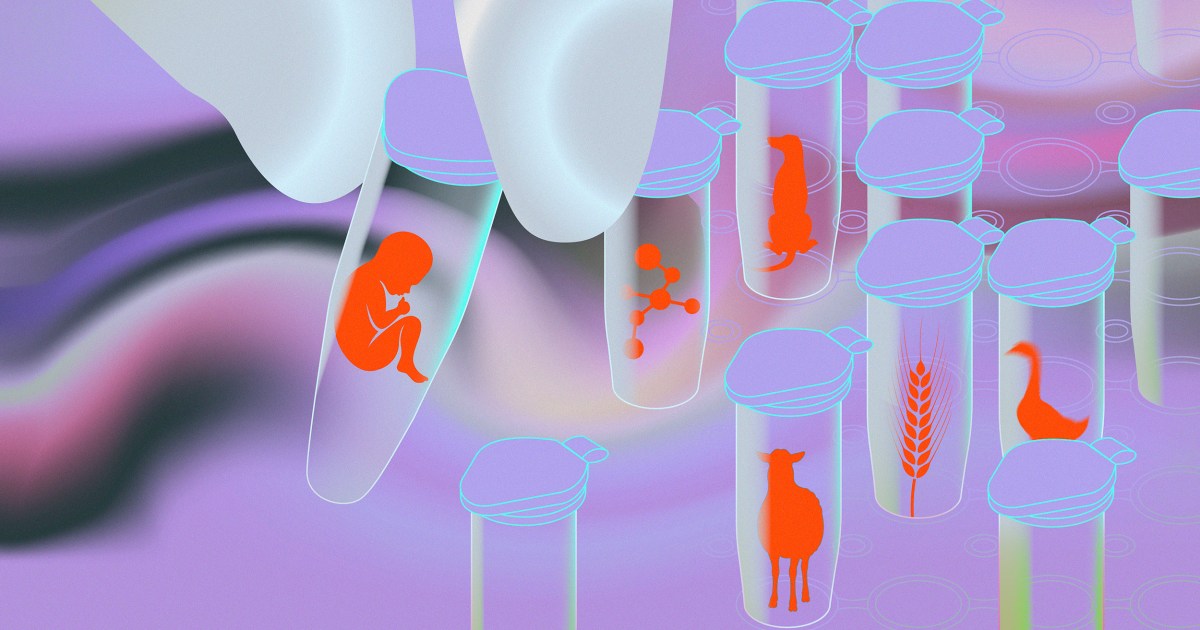 We’re able to create new creatures through gene editing. What’s ...